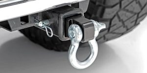 D-ring Shackles [Types, Materials & Specs]
